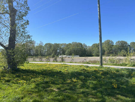 吉伯特路社區花園”GILBERT ROAD COMMUNITY GARDEN” – BC農貿&市集